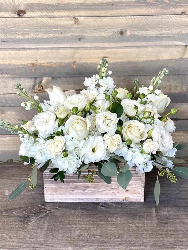 Discover the Symbolic Meaning of Flower Colors - Everyday Flowers and ...