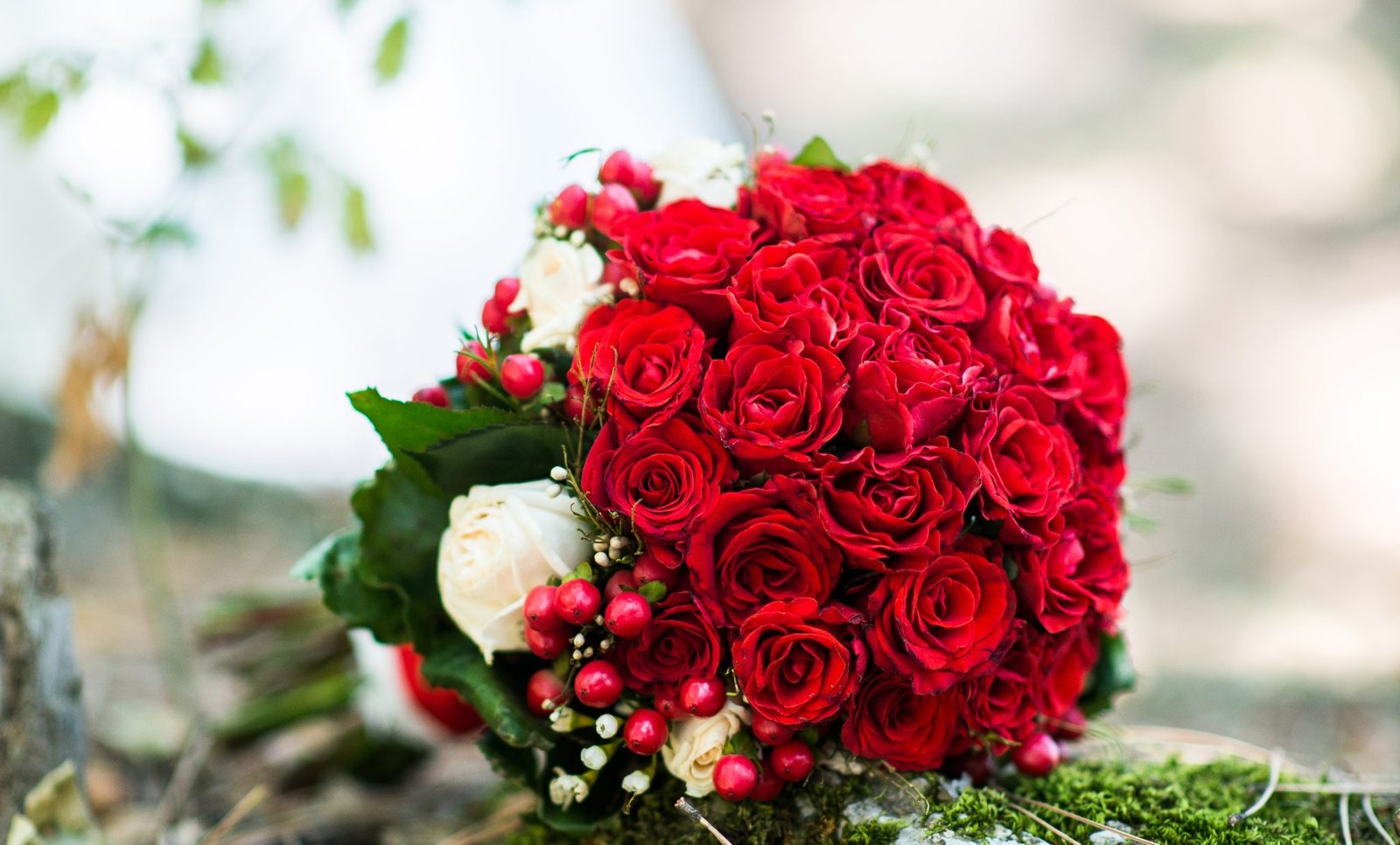 Red Roses Reign: Celebrating National Red Rose Day